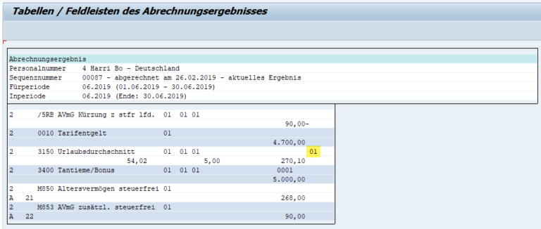 Splitkennzeichen von Lohnarten im SAP HCM verstehen
