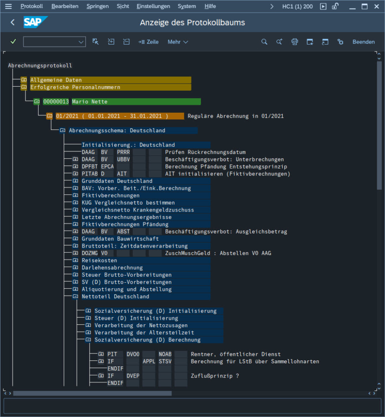 Sap gui theme - townrot