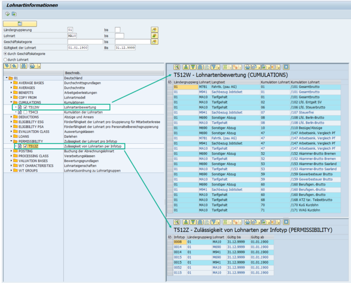 Neuer Report zur Anzeige von SAP-HCM-Lohnarten-Customizing