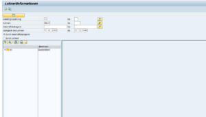 Neuer Report zur Anzeige von SAP-HCM-Lohnarten-Customizing