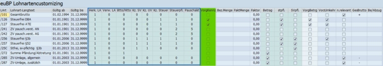 Elektronisch unterstützte Betriebsprüfung (euBP) in SAP HCM (2/2)