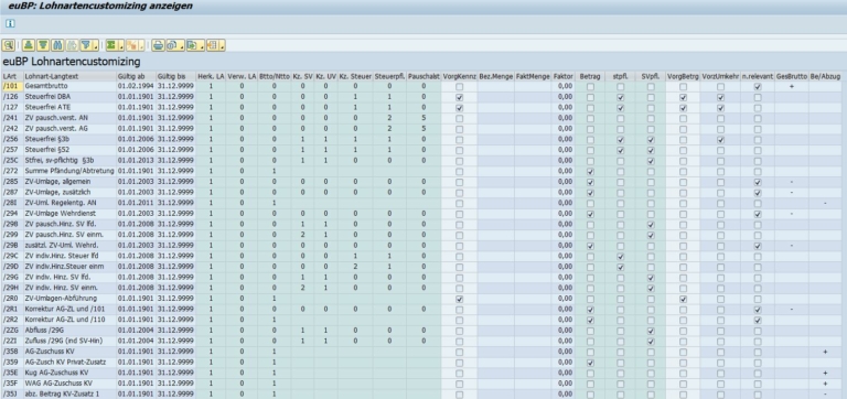 Elektronisch unterstützte Betriebsprüfung (euBP) in SAP HCM (2/2)