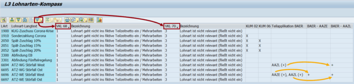 L3 Lohnarten-Kompass: Das Customizing-Tool für den klaren Durchblick