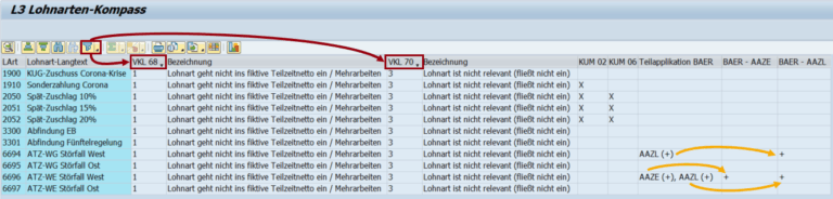 L3 Lohnarten-Kompass: Das Customizing-Tool für den klaren Durchblick